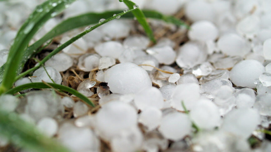Il cambiamento climatico, le grandinate estreme e i danni all ...